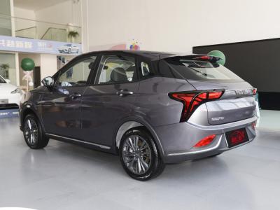 China 2024 Neta Automotive NETS V Electric SUV and Slow Charge 8 Hours for Small SUV Lovers for sale