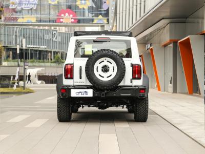 China GMW Tank 300 4x4 2.0t Off-Road Vehicle Gasoline Fuel Car with ABS and 360° Rear Camera for sale