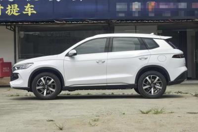 China Gray BYD EV Car with 71KM Range and Max Speed of 170 Km/h 2024 Model SONG Pro Champion for sale