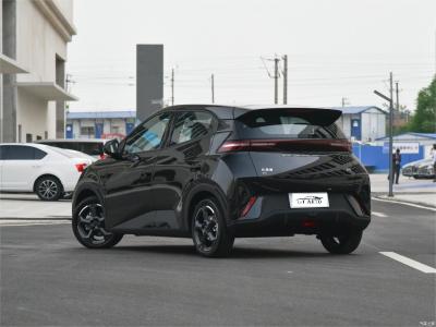 Cina Autoveicoli elettrici BYD Seagull a quattro posti con batteria LiFePO4 2024 in vendita