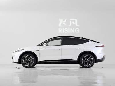 中国 燃料型電気SUV RISING R7 性能と走行距離の完璧な組み合わせ 販売のため