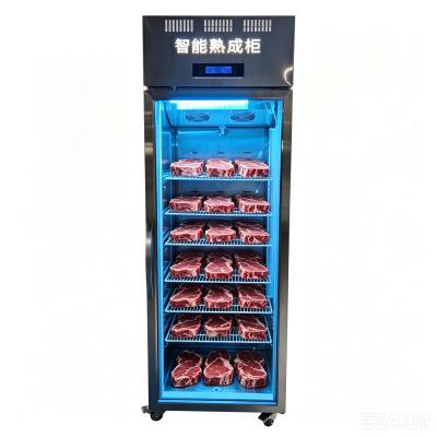 China Dry Aging Cabinet Single Door Stainless Steel Beef Aged Steakhouse Equipment for sale