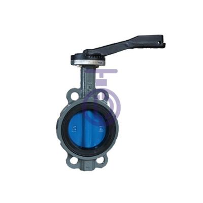 China butterfly Valve with Painting CBF02-TA07 for sale