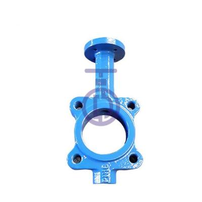 China Cast Iron Lug Type Valve Body for sale