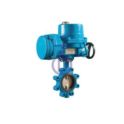 China Industrial Lug Butterfly Valve for sale