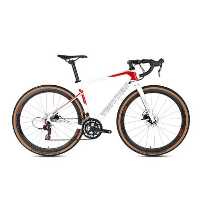 Cina freno a disco idraulico di velocità della bici 24 della ghiaia della fibra del carbonio della struttura di 48cm in vendita