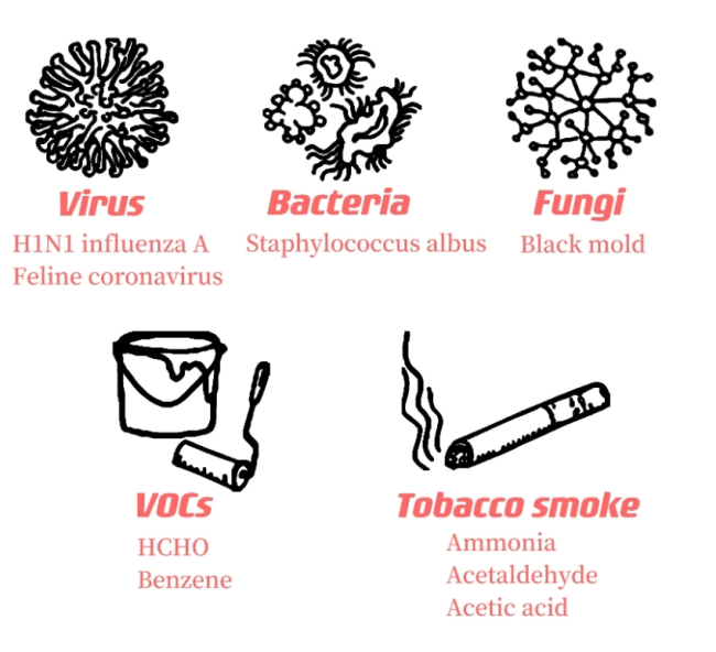Air Purifier design details