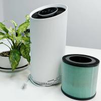 Quality 2.5 KG Cold Plasma HEPA Filter Air Purifier With 12-Hour Timer for sale