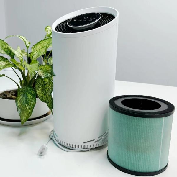 Quality 2.5 KG Cold Plasma HEPA Filter Air Purifier With 12-Hour Timer for sale