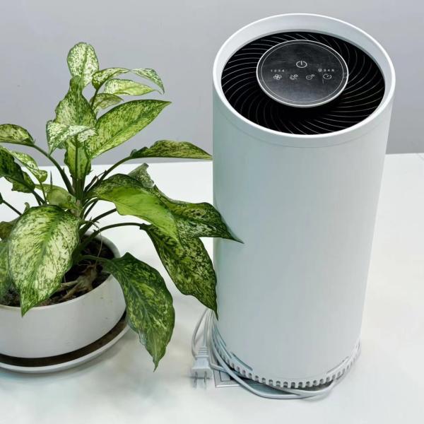 Quality HEPA Cold Plasma Air Purifier with Activated Carbon Filter 36W Max Power 220V Voltage for sale