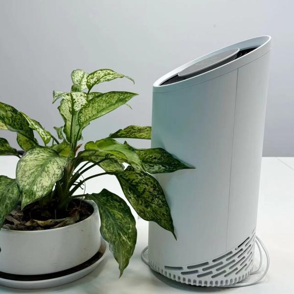Quality Quiet Night Light HEPA Air Purifier with Touch Control and Sleep Mode for sale
