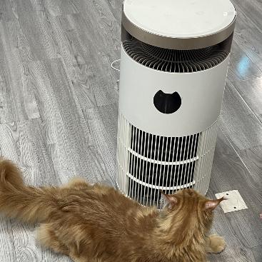 Quality Plasma Air Purifier for Pets with ABS Housing 480 m³/h CADR for sale