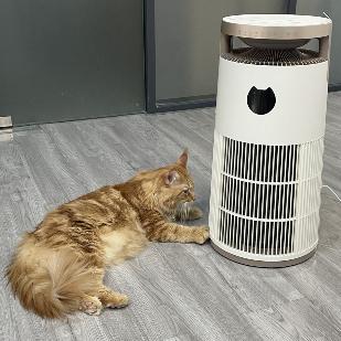 中国 VDETTE HP01オゾンHEPA空気浄化器 タイムレッサー 220V ホワイト 販売のため