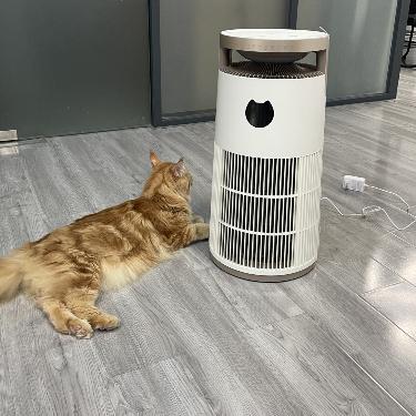 China ABS Plasma Air Purifier for Pets 480 m³/h CADR PM2.5 for sale