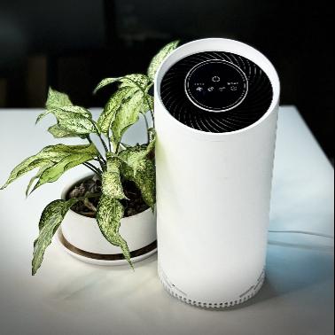 China Portable HEPA Air Purifier with 99.97% Pollutant Removal 36W Power and 52dB Low Noise for Clean Air for sale