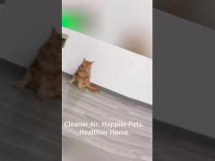 Pet Air Purifier HP01