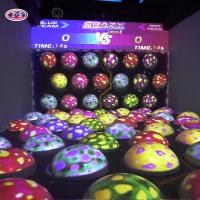 Quality AR Interactive Ball Games Wild Math Adventure Motor Skill Development For School manufacturer