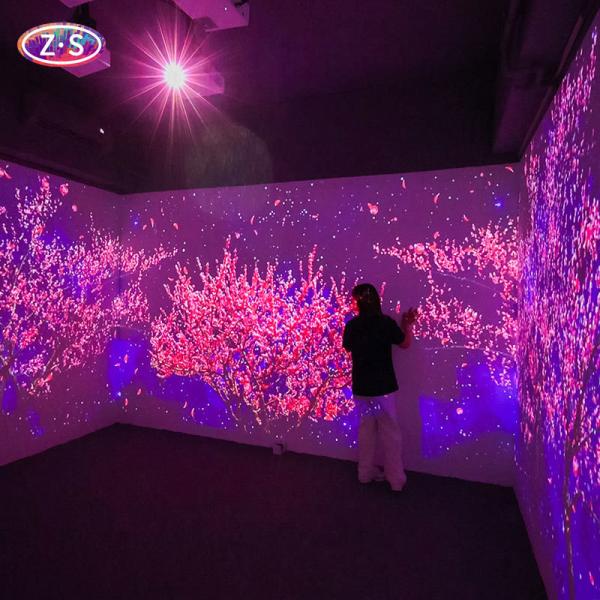 Quality Multi Zone Immersive Projection Synchronized Effects Whole Room Coverage for sale