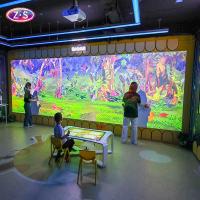 Quality Premium Kids Activity Center Entertainment Alive Drawing for Creativity and for sale