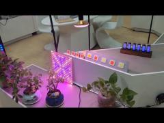 Infrarood Indoor LED Grow Light 0.2W 2835 SMD 730nm 740nm Voor LED Grow Light