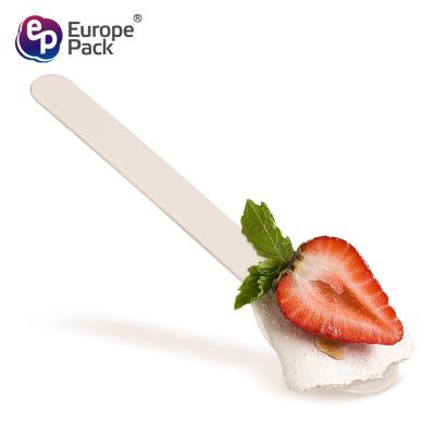 Cina Europe-Pack new products biodegradable long handle plastic ice cream spoon in vendita