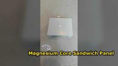 Magnesium Core Sandwich Panel