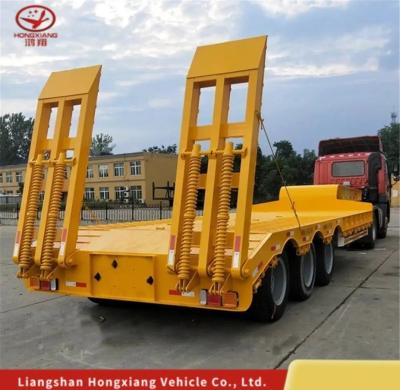 China Caminhão de carga baixa desmontável de 2 eixos de pescoço de galinha/Caminhão de carga baixa/Caminhão de carga baixa de 10 toneladas à venda