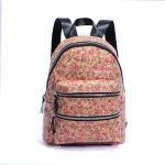 China ECO-friendly, biodegradable, Cruelty-free cork backpack en venta