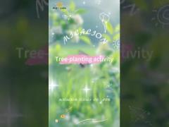 TREE PLANTING