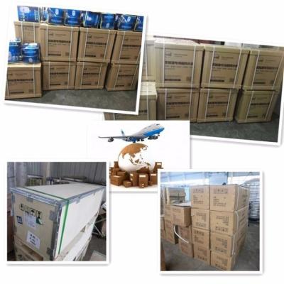 Cina Macchine per il sistema di acqua ultrapurificata 10L/H 20L/H 40L/H 60L/H in vendita
