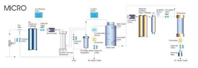 Cina Macchine per il sistema di acqua ultrapurificata 10L/H 20L/H 40L/H 60L/H in vendita