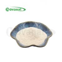 중국 락토바실러스 가세리 LG23/2,000억 CFU/g/Vegan/Free(알레르겐/글루텐/유제품) 판매용