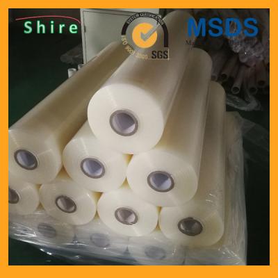 China PE Protective Film PE Protection Film PE Protection Tape PE Protective Coil for sale