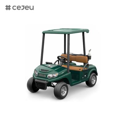 Cina CJ-390(enough space for two seats), 12V10AH*1, #550*2, 2.4G, music, usb, mp3, golf cart with multiple color options in vendita