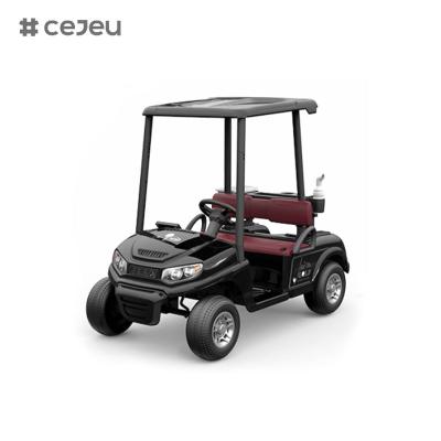Cina CJ-390(enough space for two seats), 12V10AH*1, #550*2, 2.4G, music, usb, mp3, golf cart with multiple color options in vendita