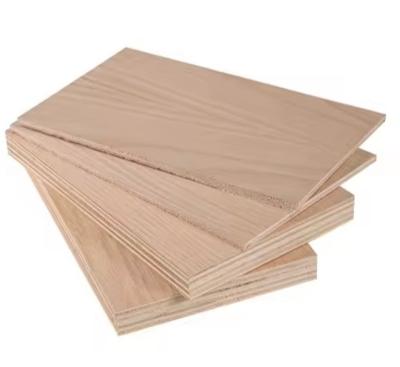 Cina Decorazione alberghiera Legno compensato laminato in melamina da 18 mm con finitura superficiale in cartone di rivestimento in vendita