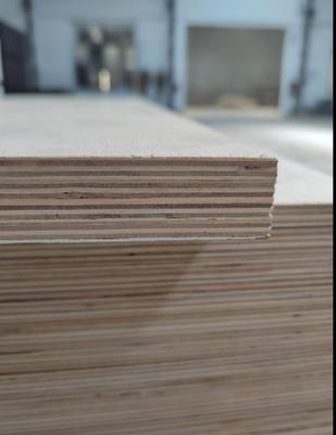 Cina Decorazione alberghiera Legno compensato laminato in melamina da 18 mm con finitura superficiale in cartone di rivestimento in vendita