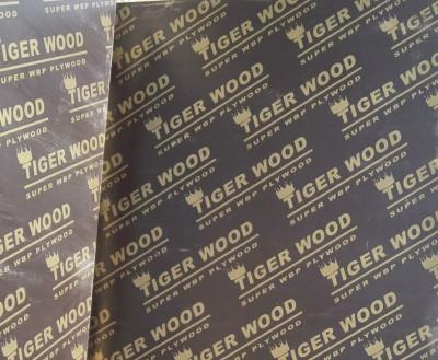 Cina Legno compensato a pellicola flessibile per decorazioni alberghiere a doppio lato in vendita