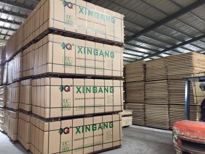 Cina Legno compensato a pellicola flessibile per decorazioni alberghiere a doppio lato in vendita