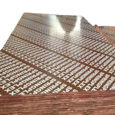 Cina Materiale principale 6/9/12/15/18mm Legno compensato commerciale per l'imballaggio in vendita