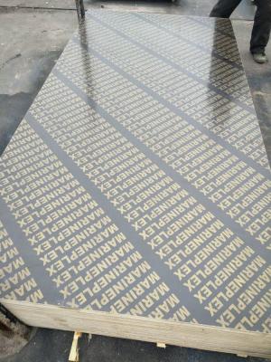 Cina Materiale principale 6/9/12/15/18mm Legno compensato commerciale per l'imballaggio in vendita
