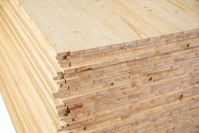 Cina Materiale del pannello non metallico Legno compensato di legno di betulla baltico per interni moderni in vendita