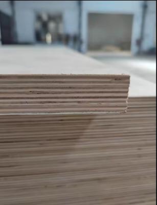 Cina Legno compensato impermeabile marino 3mm-21mm laminato a melamina per decorazioni alberghiere in vendita