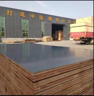 China E1 Normen voor de uitstoot van formaldehyde 18 mm maritiem multiplex voor bouwfilms Te koop