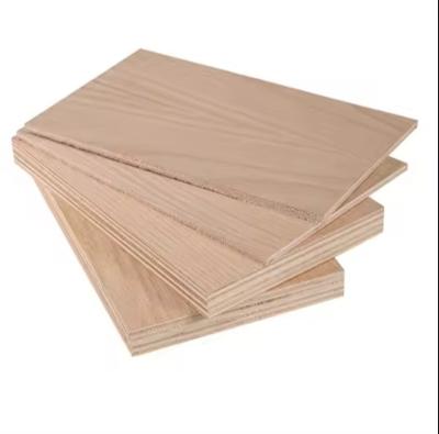 Cina Legno compensato di legno di betulla baltico E0 6 mm 18 mm 25 mm per mobili a pannelli non metallici in vendita