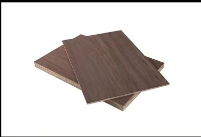 Cina Legno compensato di legno di betulla baltico E0 6 mm 18 mm 25 mm per mobili a pannelli non metallici in vendita