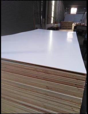 Cina Legno compensato di legno di betulla baltico E0 6 mm 18 mm 25 mm per mobili a pannelli non metallici in vendita