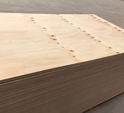 Cina Moderno stile di progettazione di pareti esterne Moderno 18 mm 3/4 di legno compensato di pino per il tetto dell'hotel in vendita