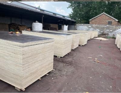 China Moderne scharnieren met anti-glijden triplex voor de bouw 4x8 9mm 12mm 15mm 18mm 21mm Te koop