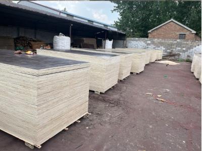 China Moderne scharnieren met anti-glijden triplex voor de bouw 4x8 9mm 12mm 15mm 18mm 21mm Te koop